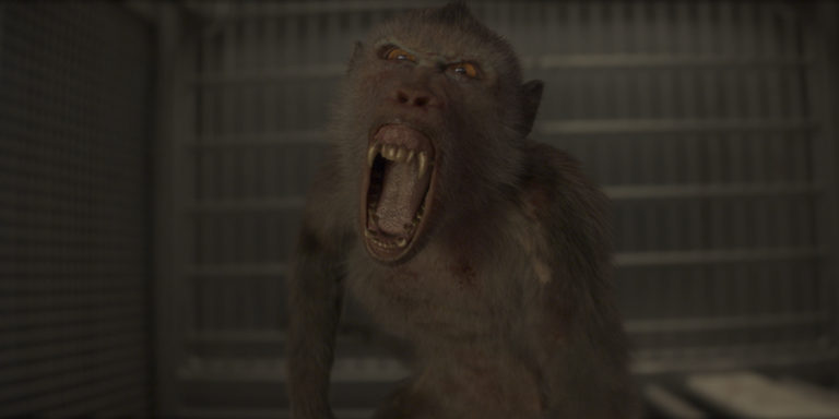 Making Monkeys with DNEG in THE HOT ZONE - VFX Voice MagazineVFX Voice ...