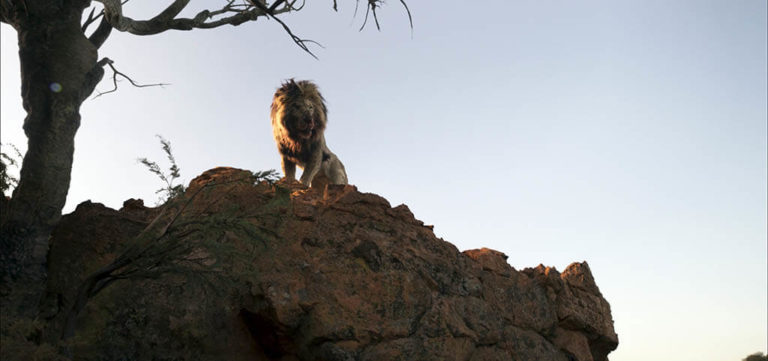 CREATING PHOTOREAL AND NATURALISTIC LIONS FOR BEAST - VFX Voice