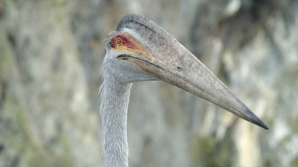 BLENDING CG CREATURES & WILDLIFE PHOTOGRAPHY TO BRING LOST GIANTS TO ...